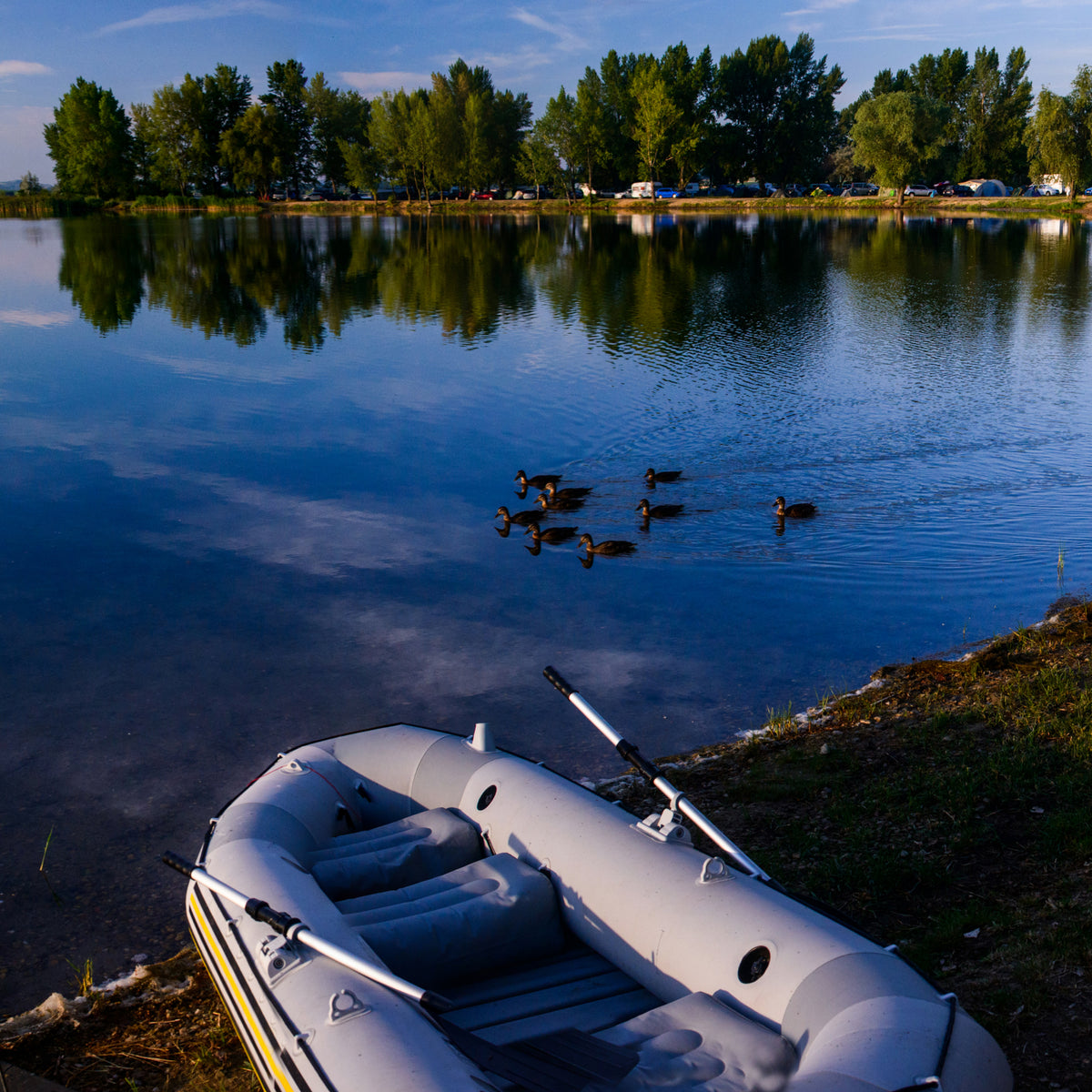 Rigid Inflatable Power Boats – AFLOAT